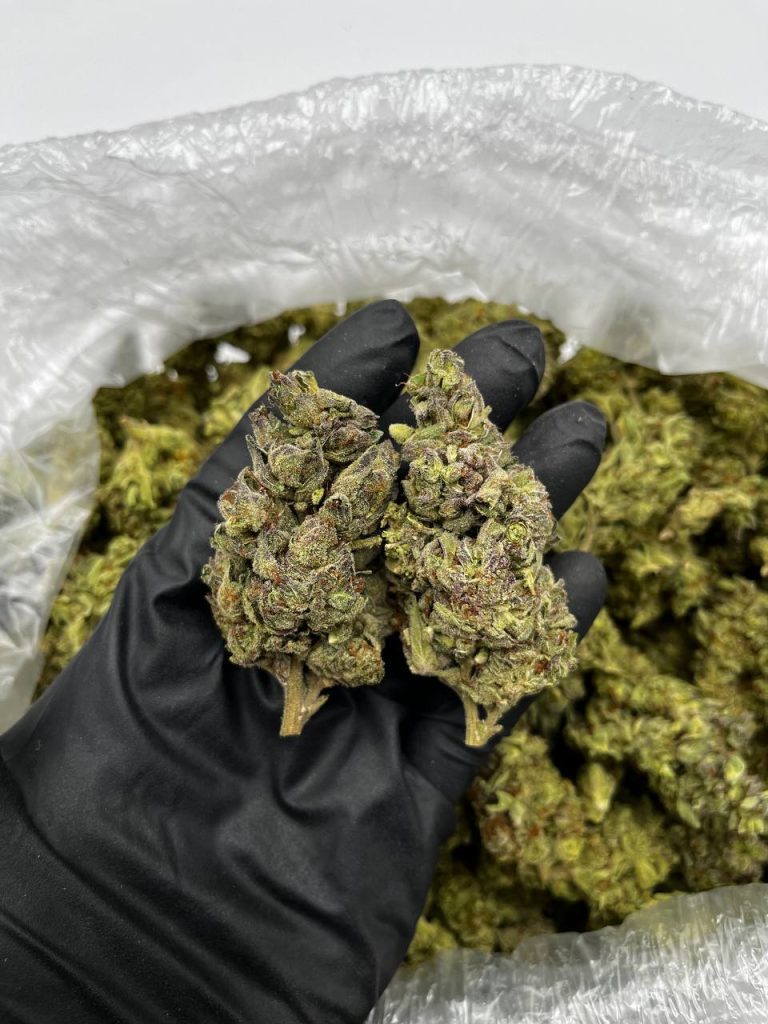 Dream Queen strain - Puff LA Official