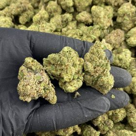 Lemon Bars Strain - Puff LA Official