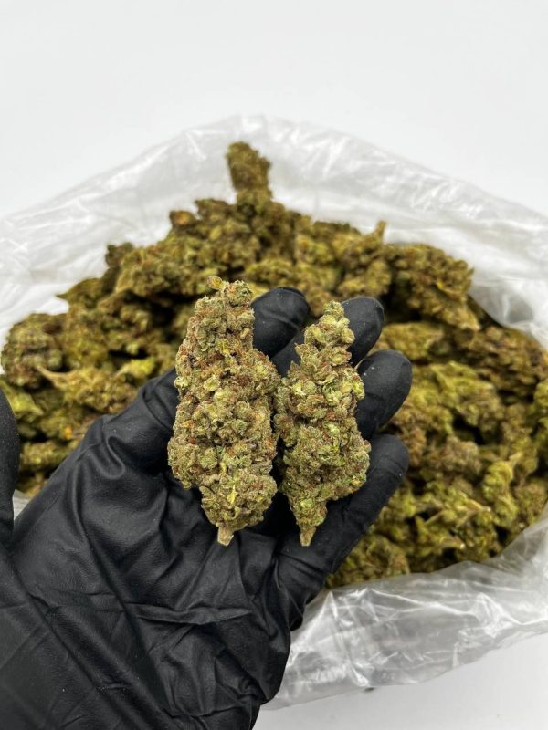 Jet Fuel strain - Puff LA Official