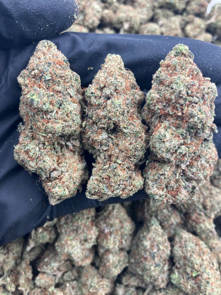 Larry OG Strain - Puff LA Official